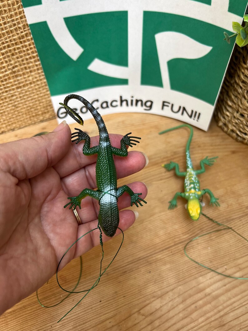 Geocache Lizard Gecko Micro Cache Caching Container Hide & - Etsy