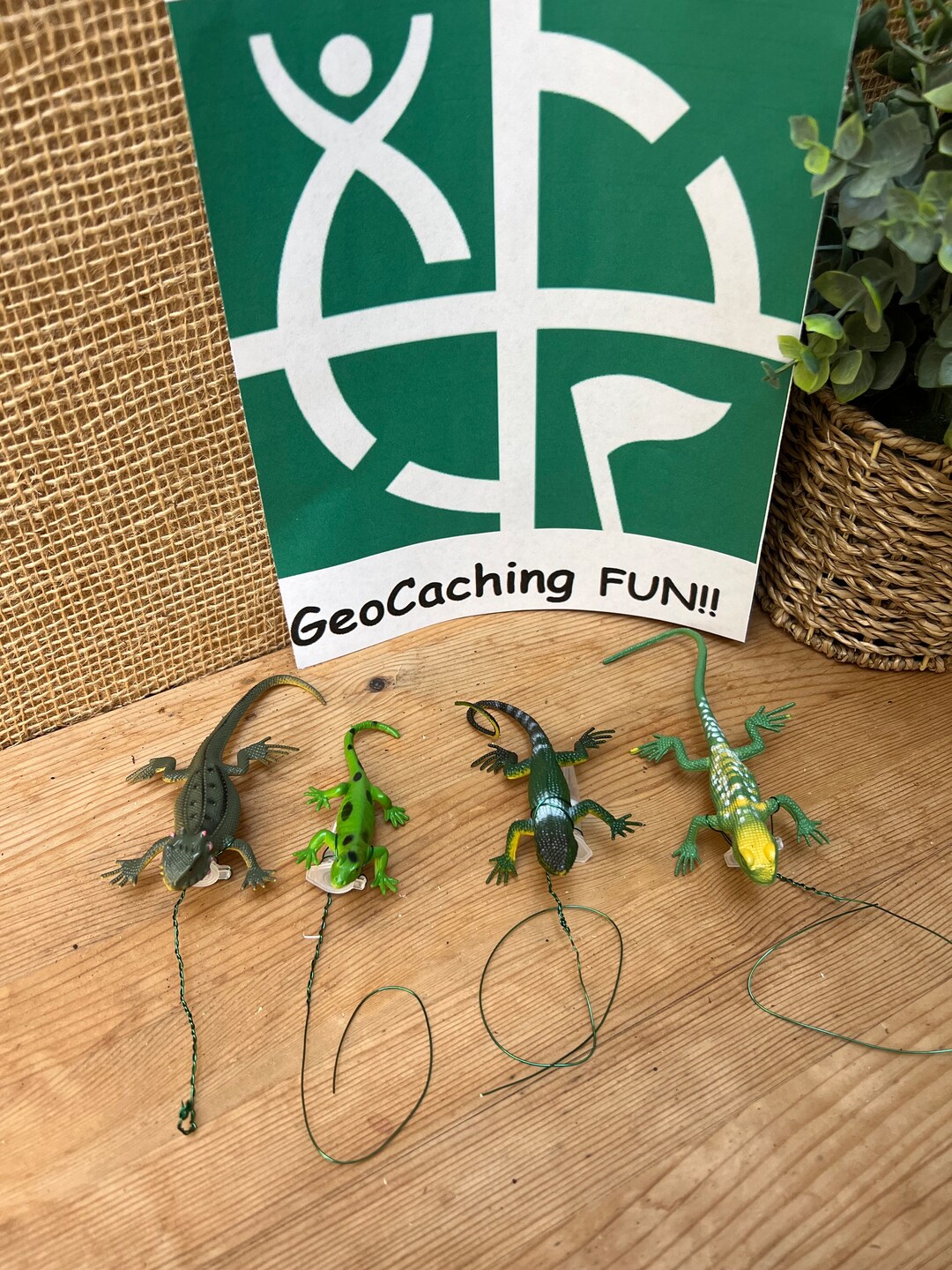 Geocache Lizard Gecko Micro Cache - Caching Container Hide & Seek Cache ...