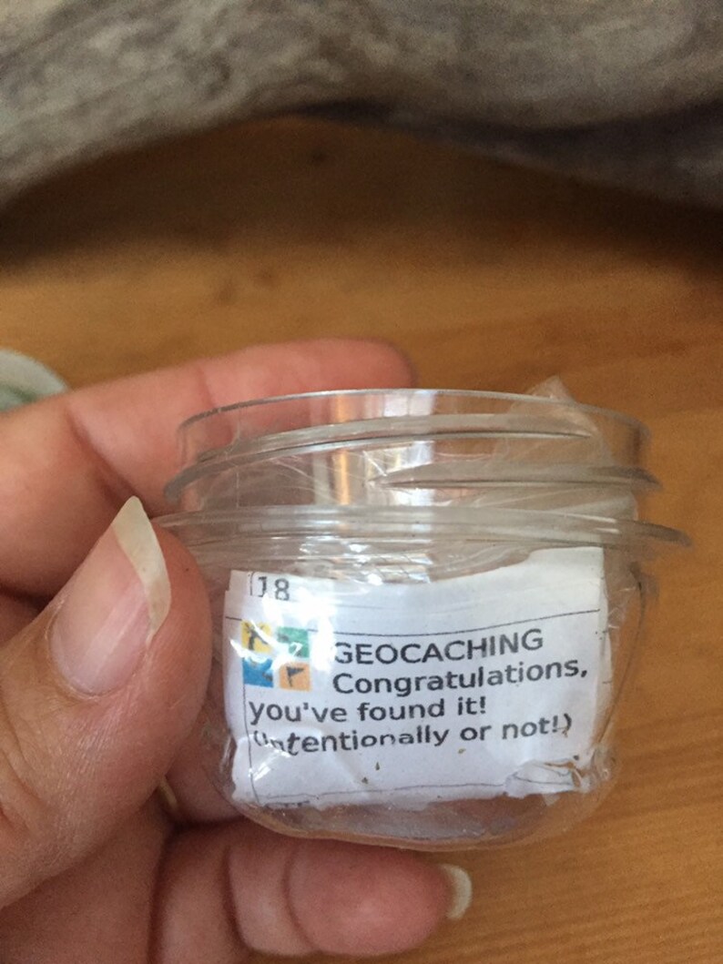Geo Cache Lilly Pad Leaf Camo Fun Size Plastic Container - Caching ...