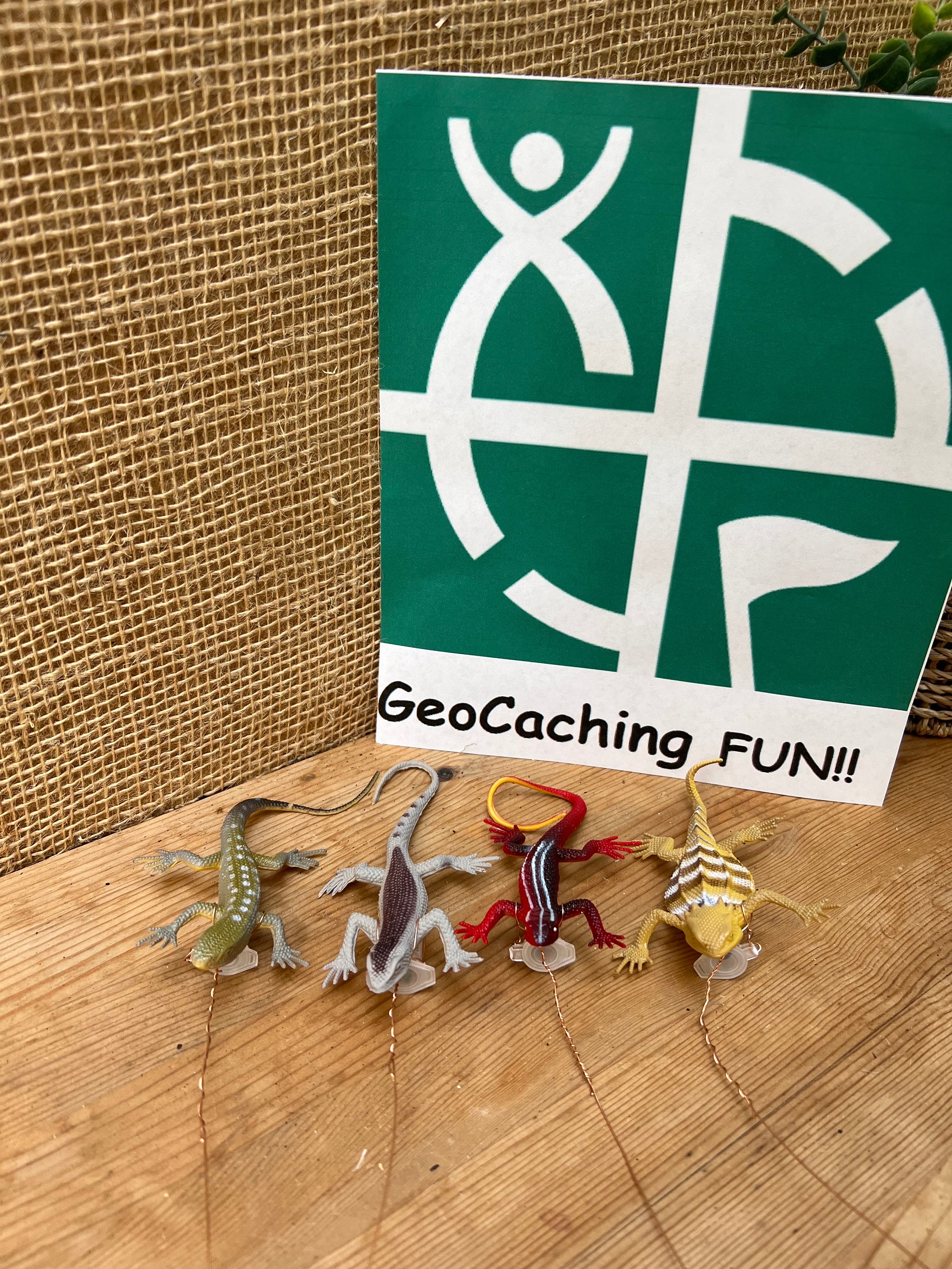 Geocache Real Size Lizard With Micro Cache - Caching Container Hide ...