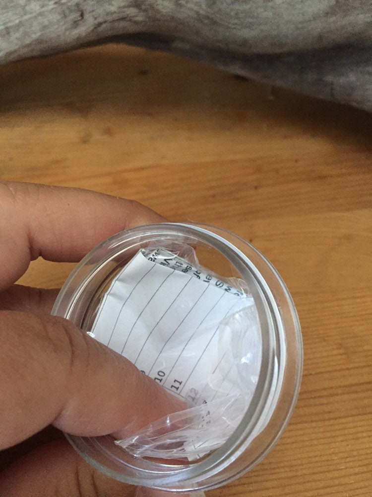 Geo Cache Lilly Pad Leaf Camo Fun Size Plastic Container - Caching ...