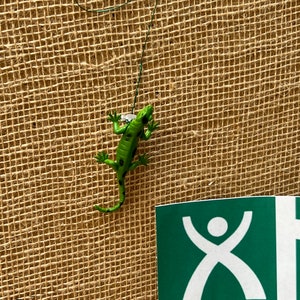 Geocache Lizard Gecko Micro Cache - Caching Container Hide & Seek Cache ...