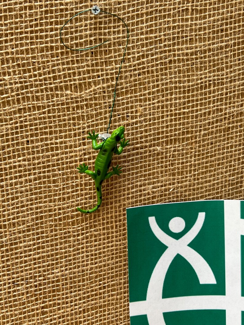 Geocache Lizard Gecko Micro Cache Caching Container Hide & - Etsy