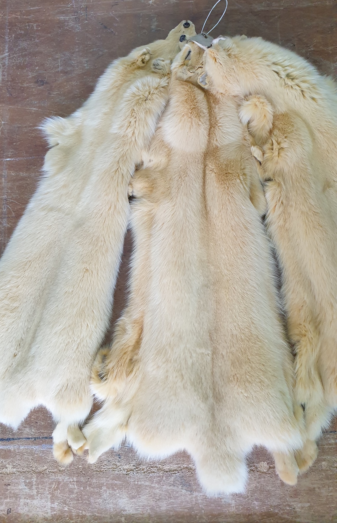 Fur Pelts,real Fox Skin,luxury Quality Fur Pelts - Etsy