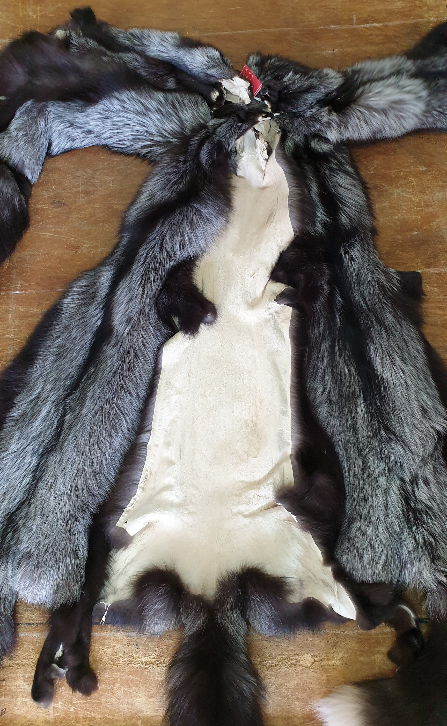 Fur Peltsreal Fox Skinluxury Quality Fur Pelts - Etsy