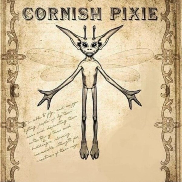 Cornish Pixie - Etsy