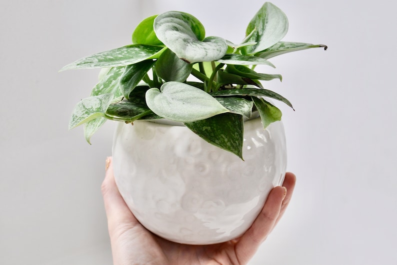 Moon Jar White Ceramic Planter Pot With Craters - Etsy
