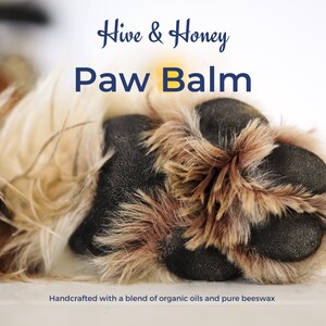 Natural Paw Balm: Organic Soothing Balm for Dogs & Cats - Etsy
