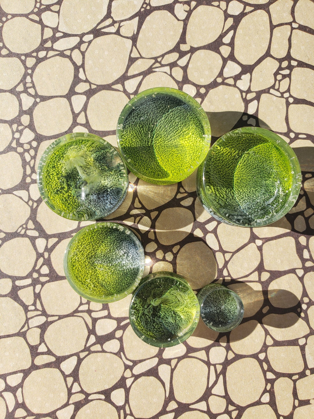 Green Mamba Double Flare Resin Ink Plugs 26mm 24mm 22mm 20mm 18mm 16mm ...