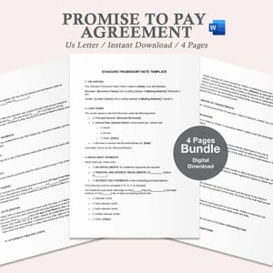 Standard Promissory Note,promissory Note,promise to Pay Agreement ...