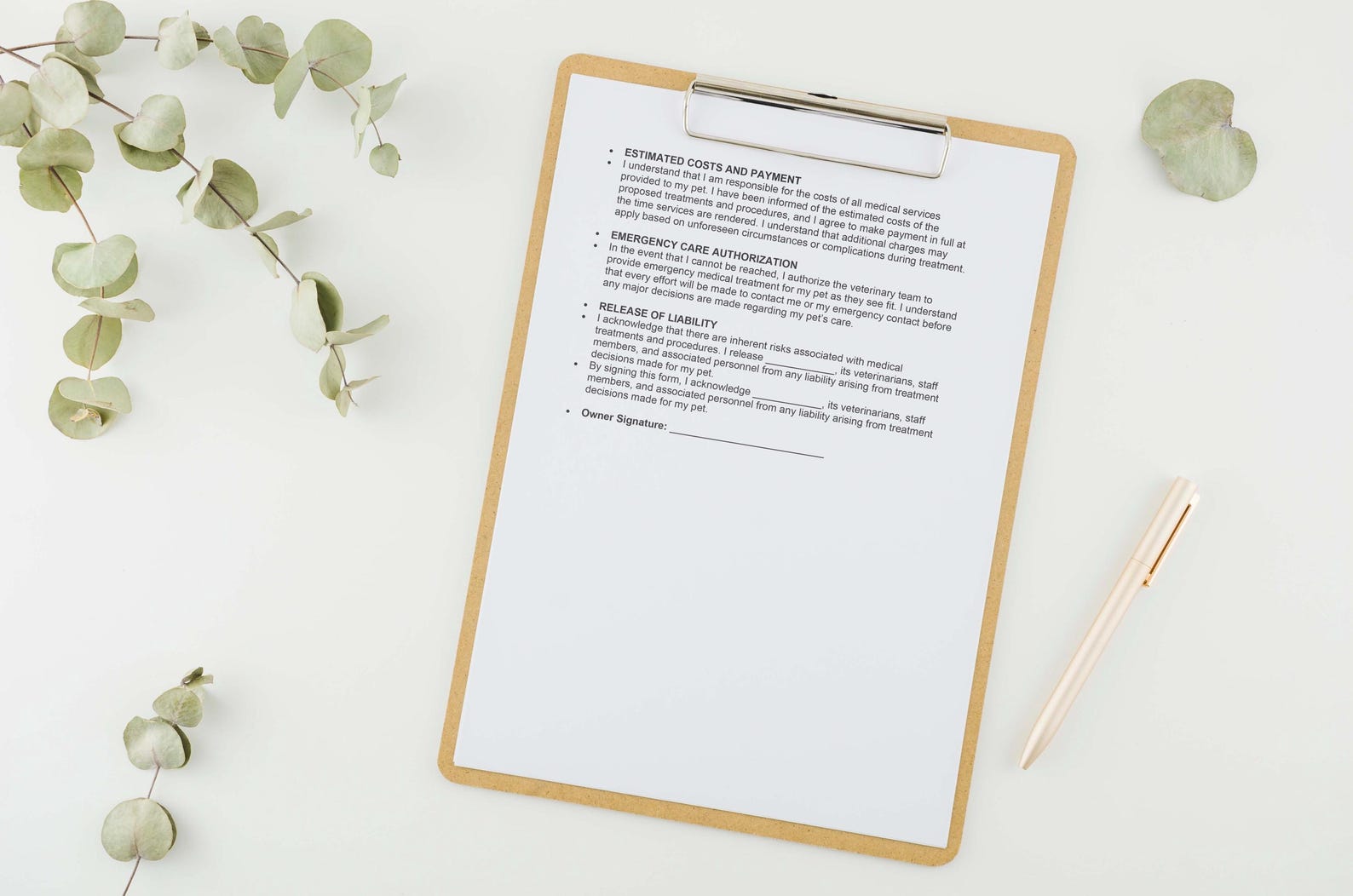 Veterinary Form,veterinary Intake Form,veterinary Release Form ...