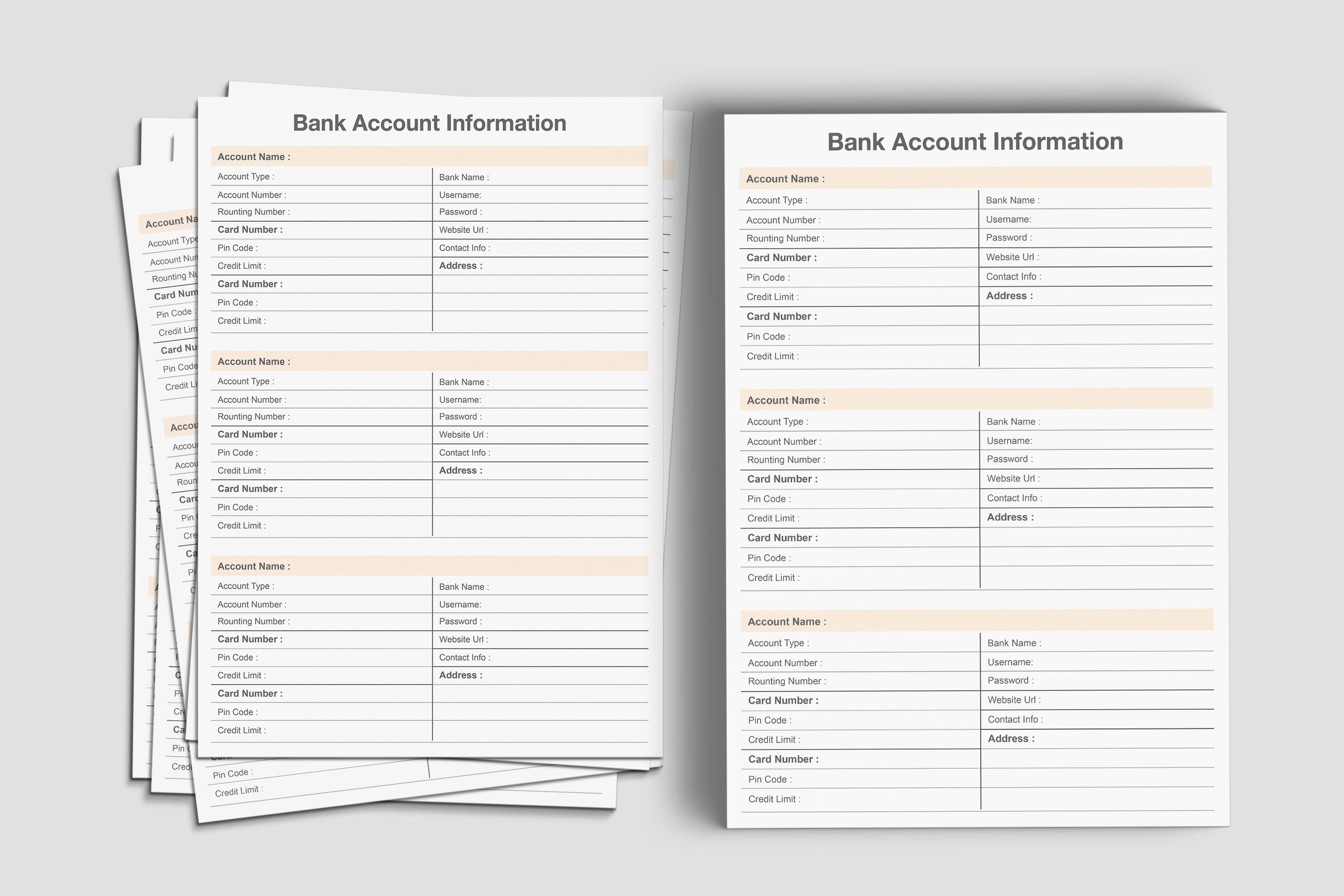 Bank Account Tracker,bank Account Info,bank Account Log,account Info ...