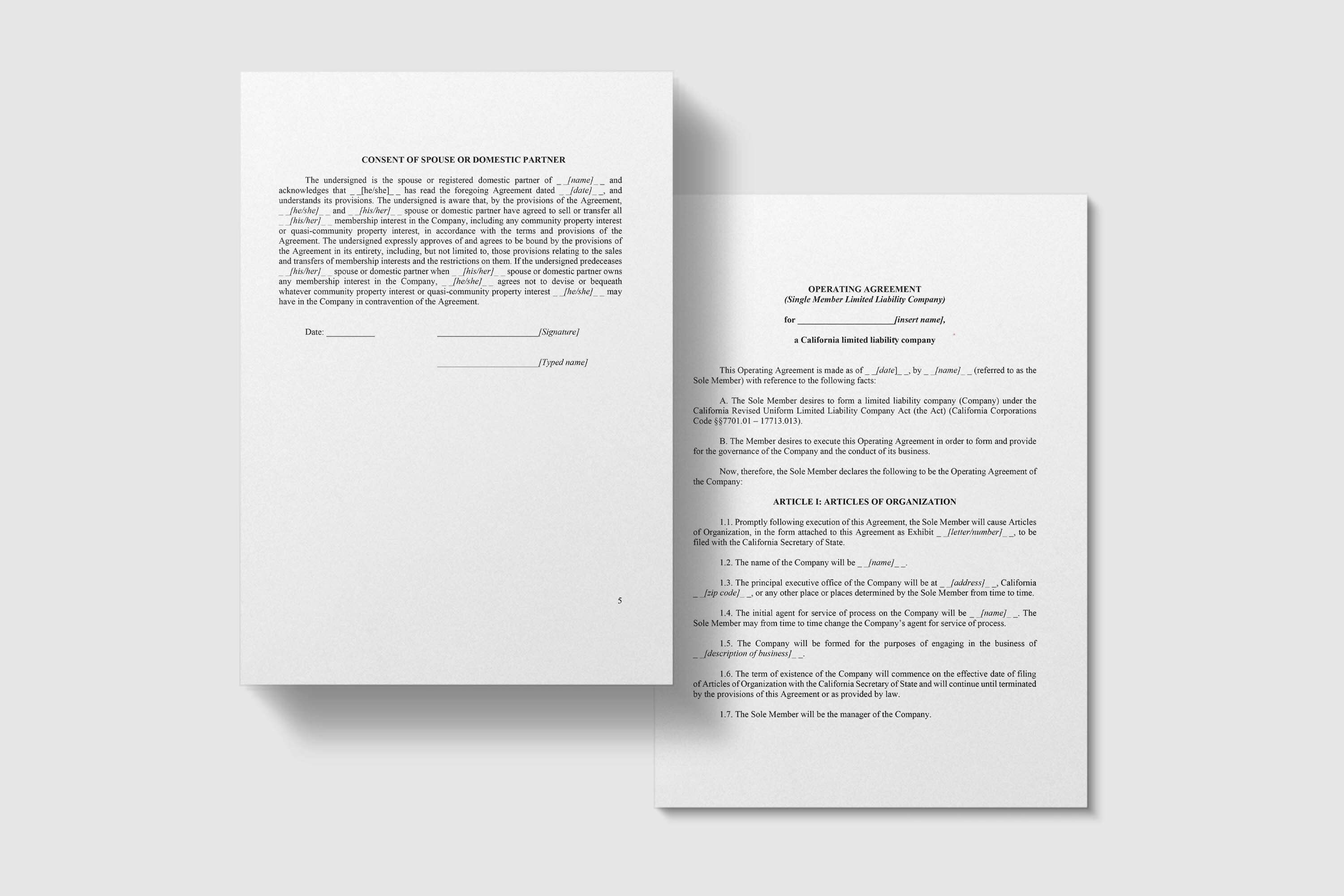 Llc Operating Agreement Form,single Member Llc Operating Agreement ...