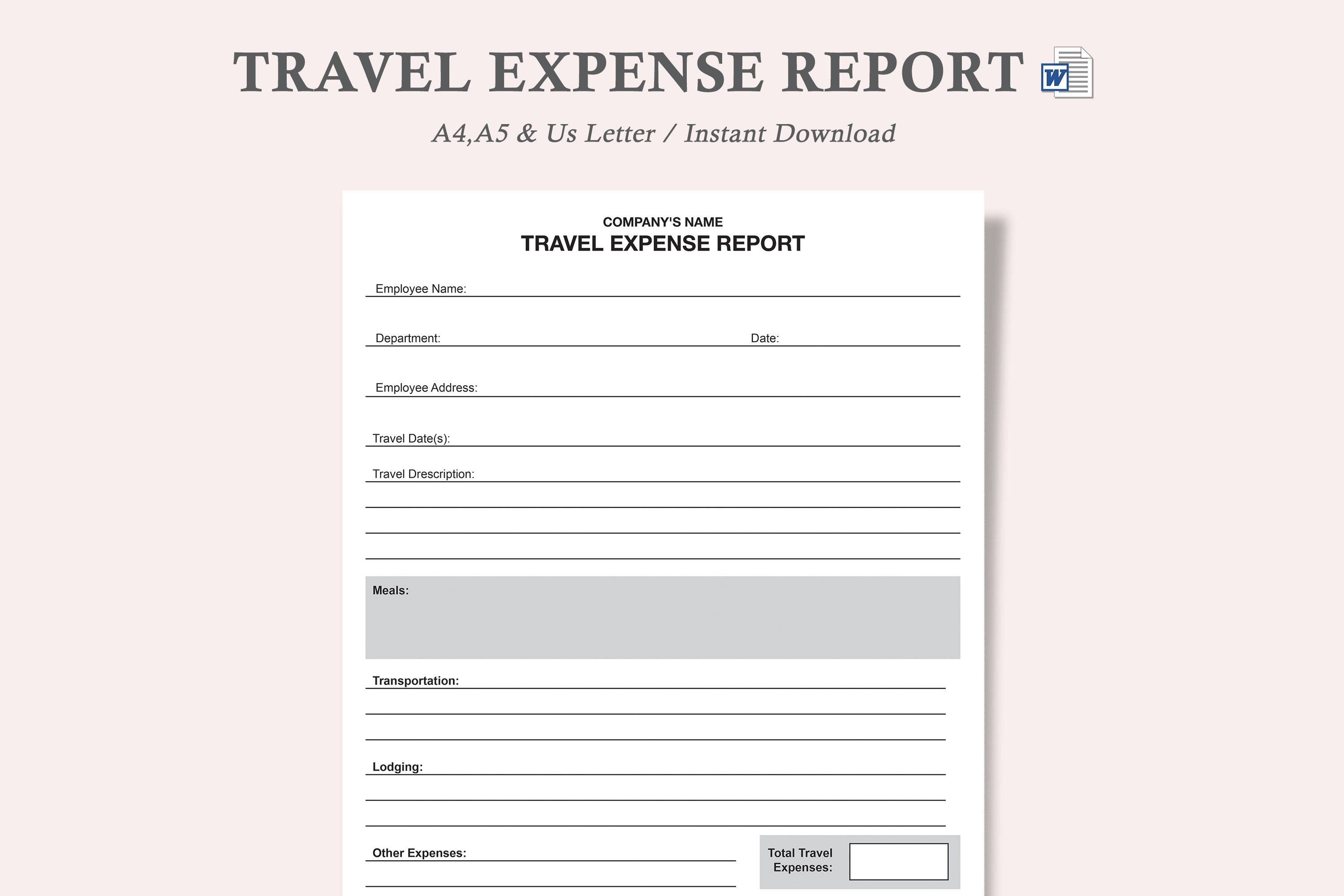 Travel Expense Report