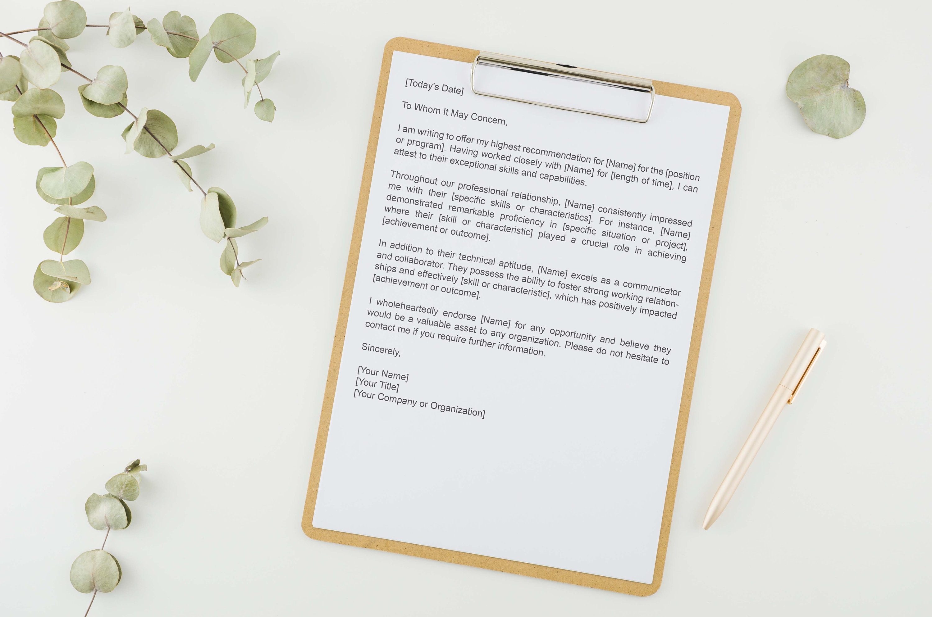 Professional Recommendation Letter,letter of Recommendation ...