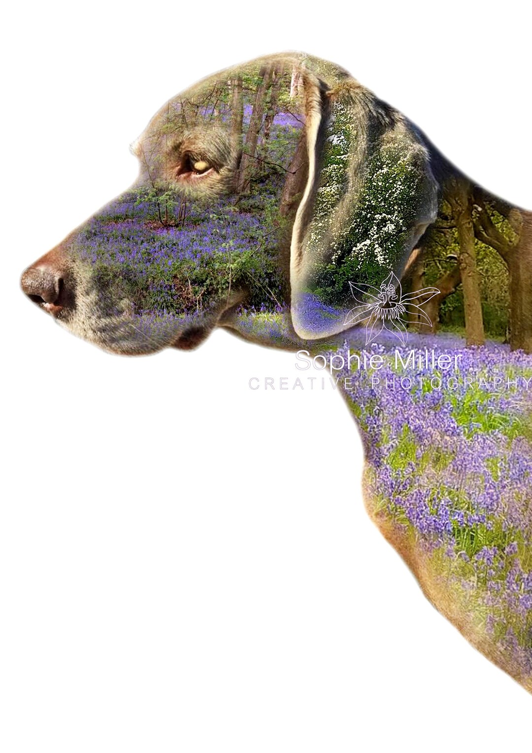 Custom Digital Dog Portrait/ Memorial Gift/ Memorial Dog Portrait ...