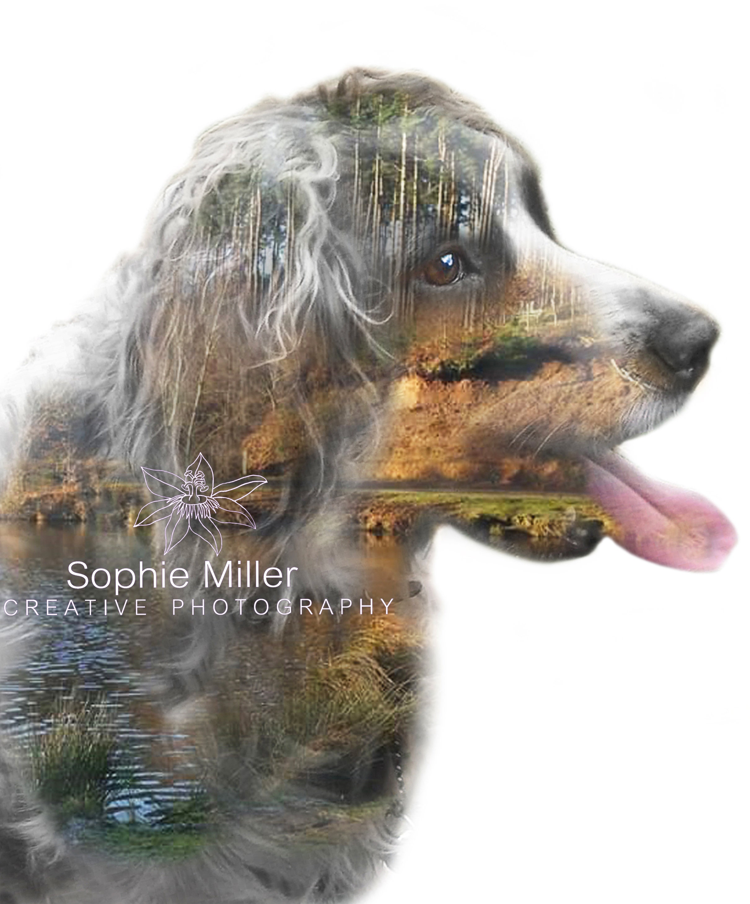 Custom Digital Dog Portrait/ Memorial Gift/ Memorial Dog - Etsy