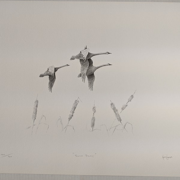 Herb Jones Prints - Etsy