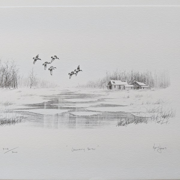 Herb Jones Prints - Etsy