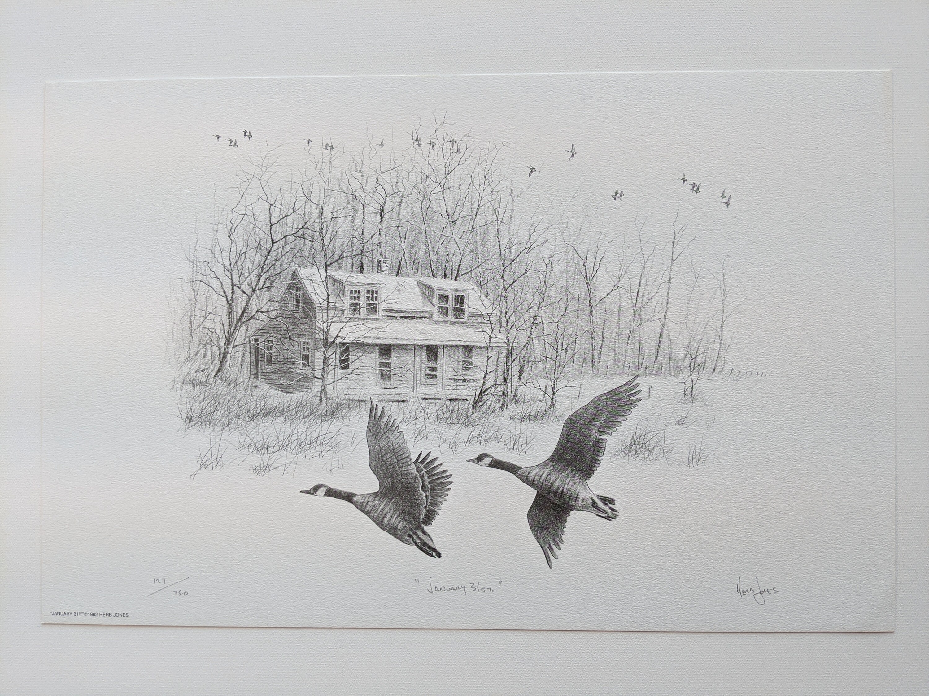 Limited Edition Print of a Pair of Geese Flying in Front of What May Be ...