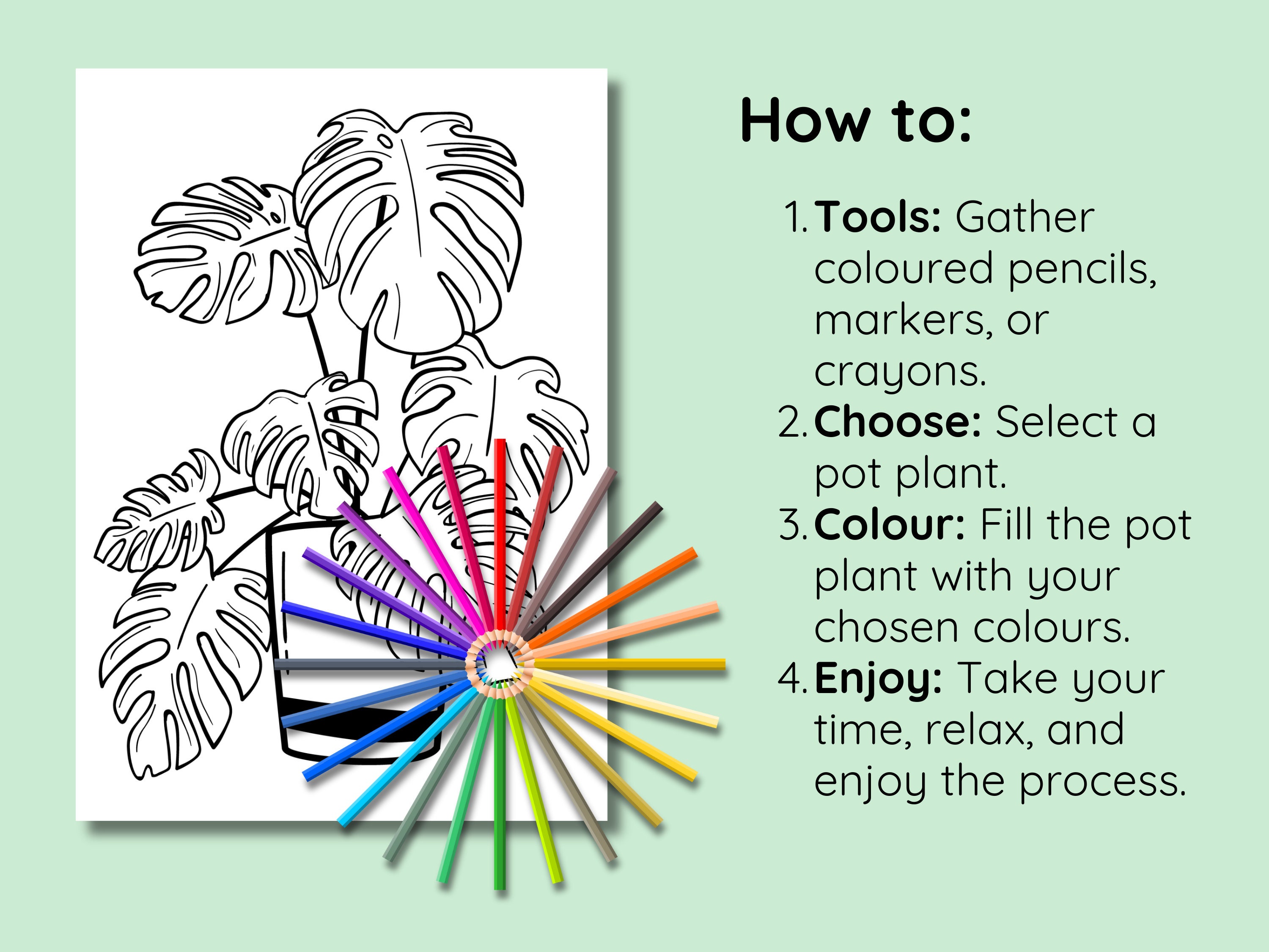 Indoor House Plant Adult Colouring Pages | Printable A4 PDF Instant ...