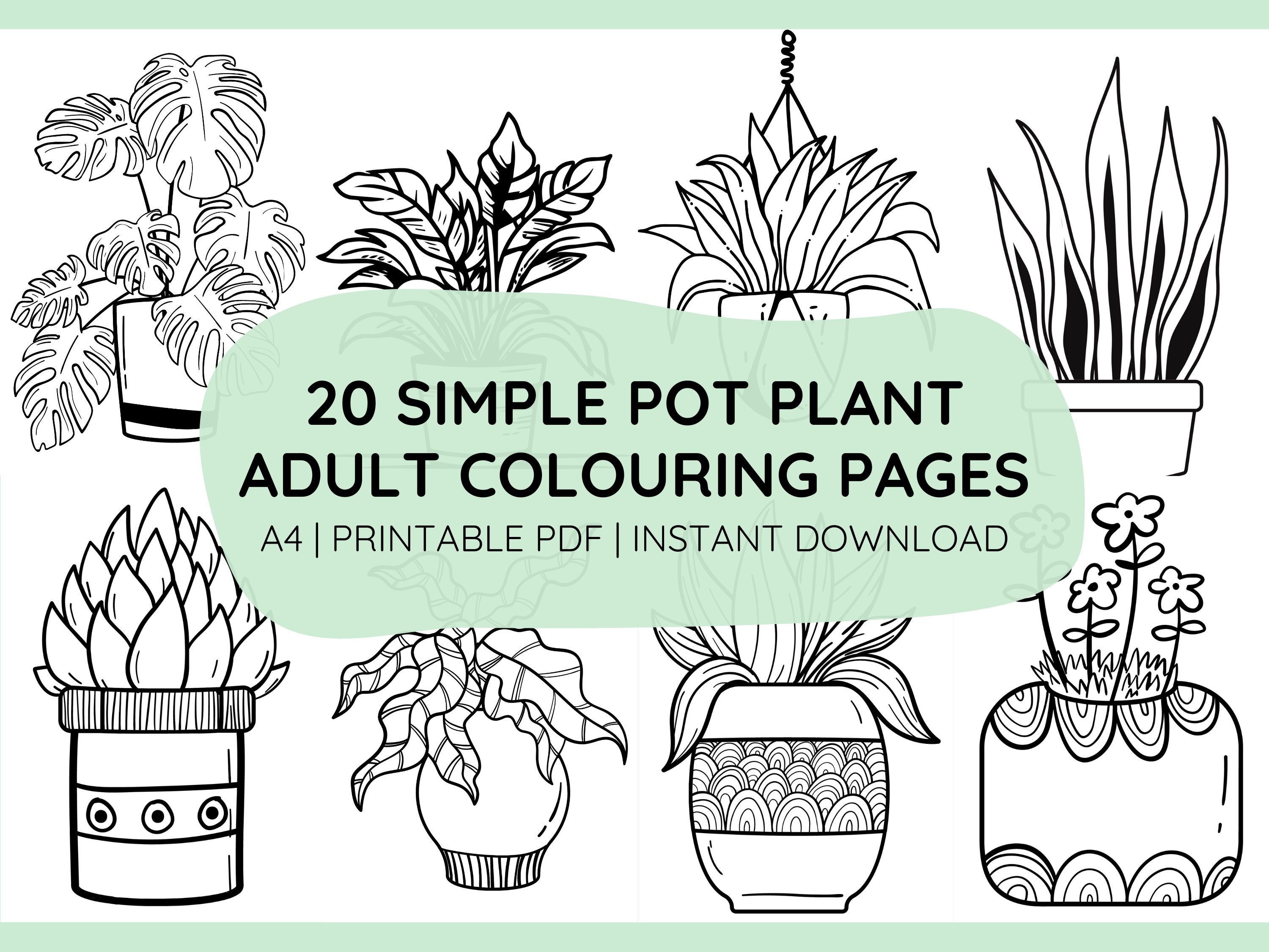Indoor House Plant Adult Colouring Pages | Printable A4 PDF Instant Download | Simple, Easy and ...