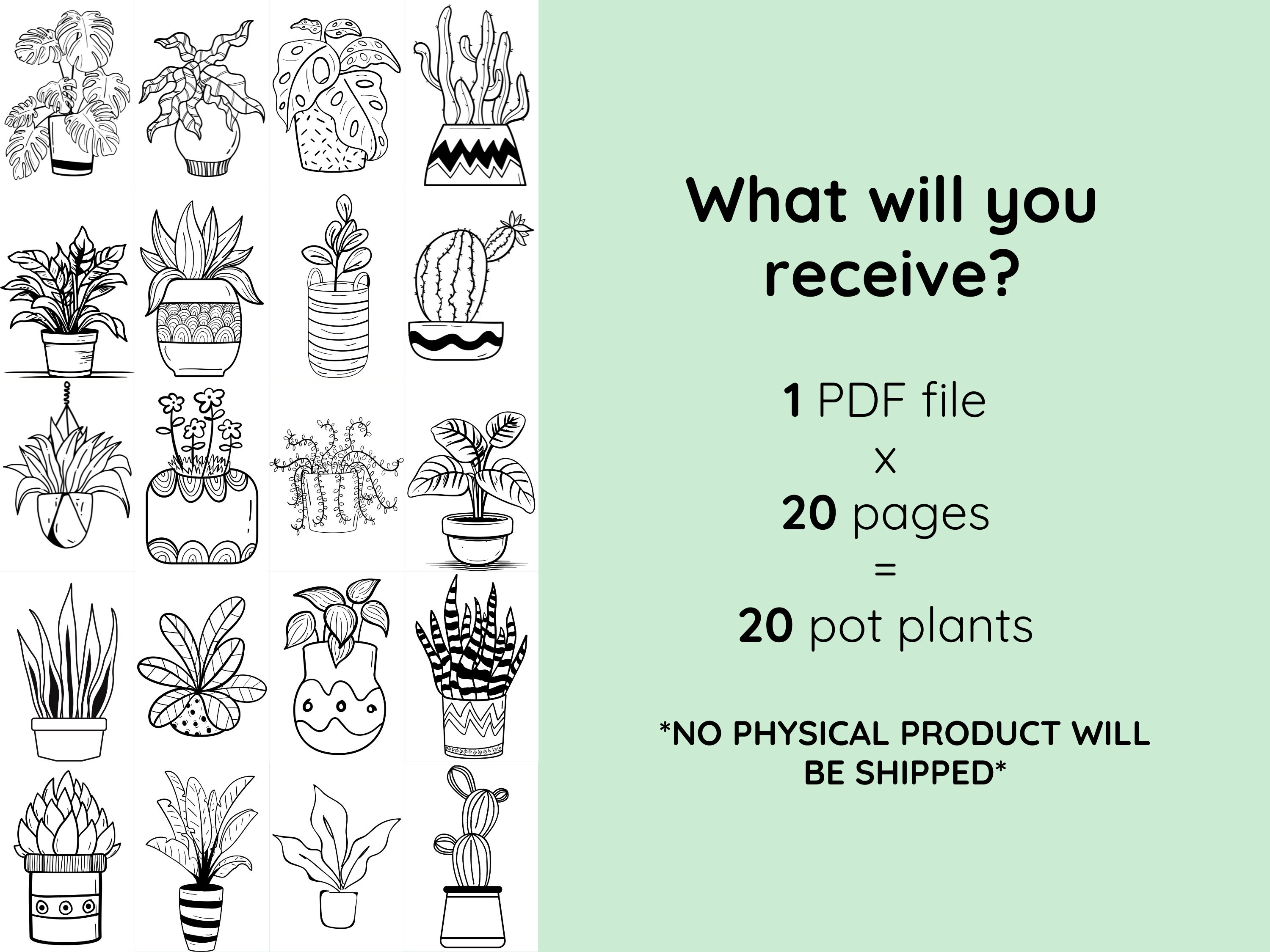 Indoor House Plant Adult Colouring Pages | Printable A4 PDF Instant ...