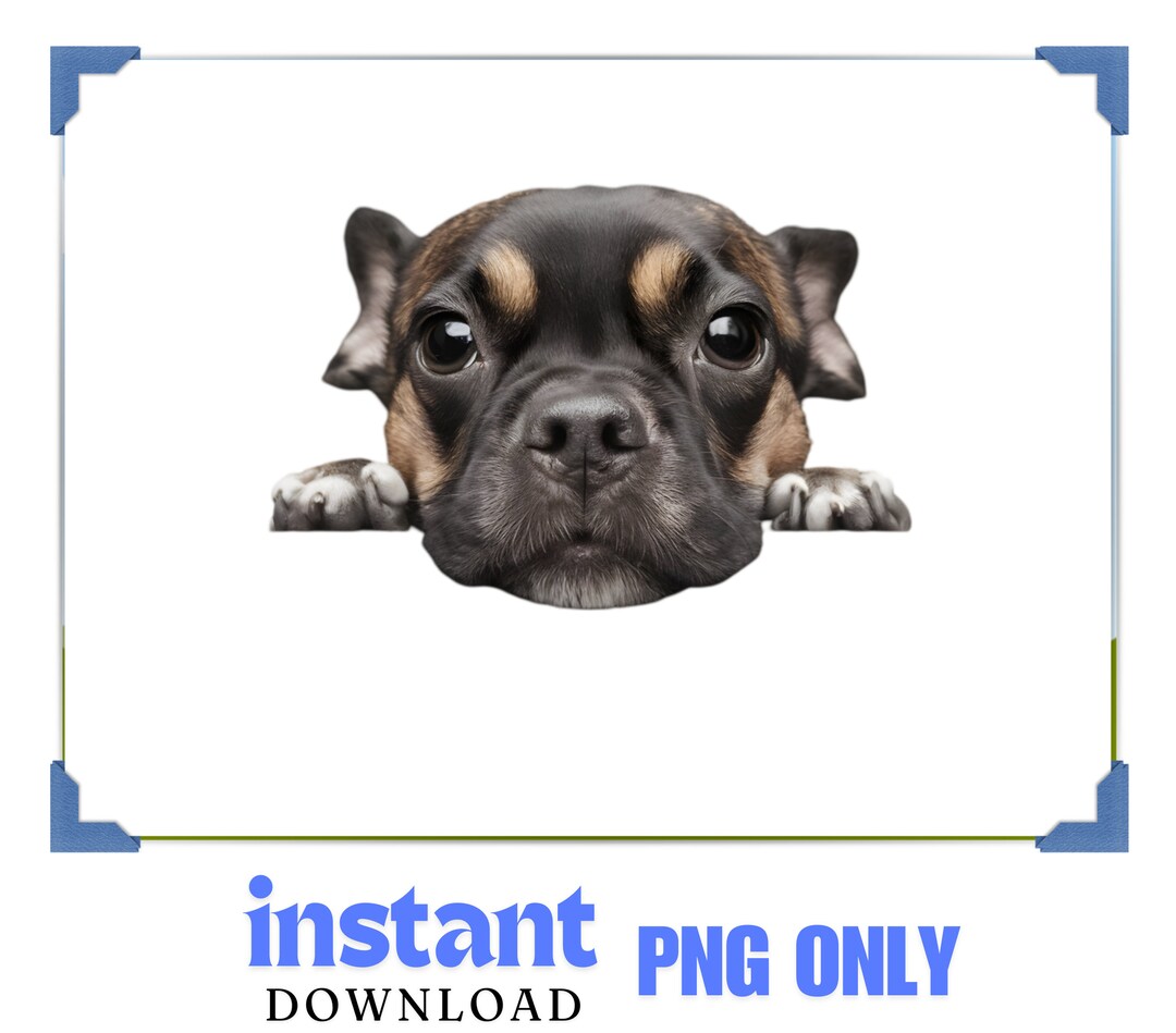 Adorable Frenchie Face PNG Clipart Cute Puppy Digital Dog Lover PNG ...
