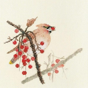 Counted Cross Stitch Kit "waxwing", High Quality Full Beginner's Kit, Beautiful Nature Scene ...
