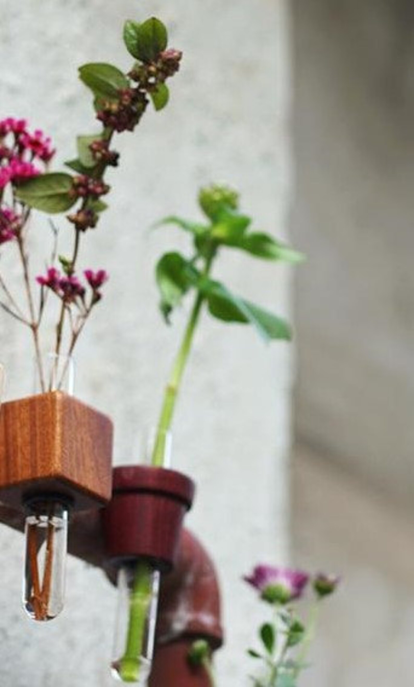 Mini Bud Vase, Mini Diffuser, Solid Wood, Test Tube, Sleek and Cute ...