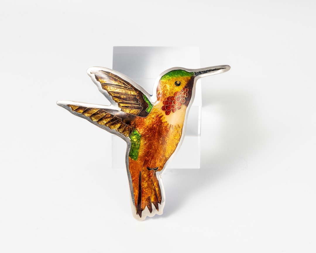 Rufous Hummingbird Cloisonne and Champleve Enamel Pendant on Fine ...