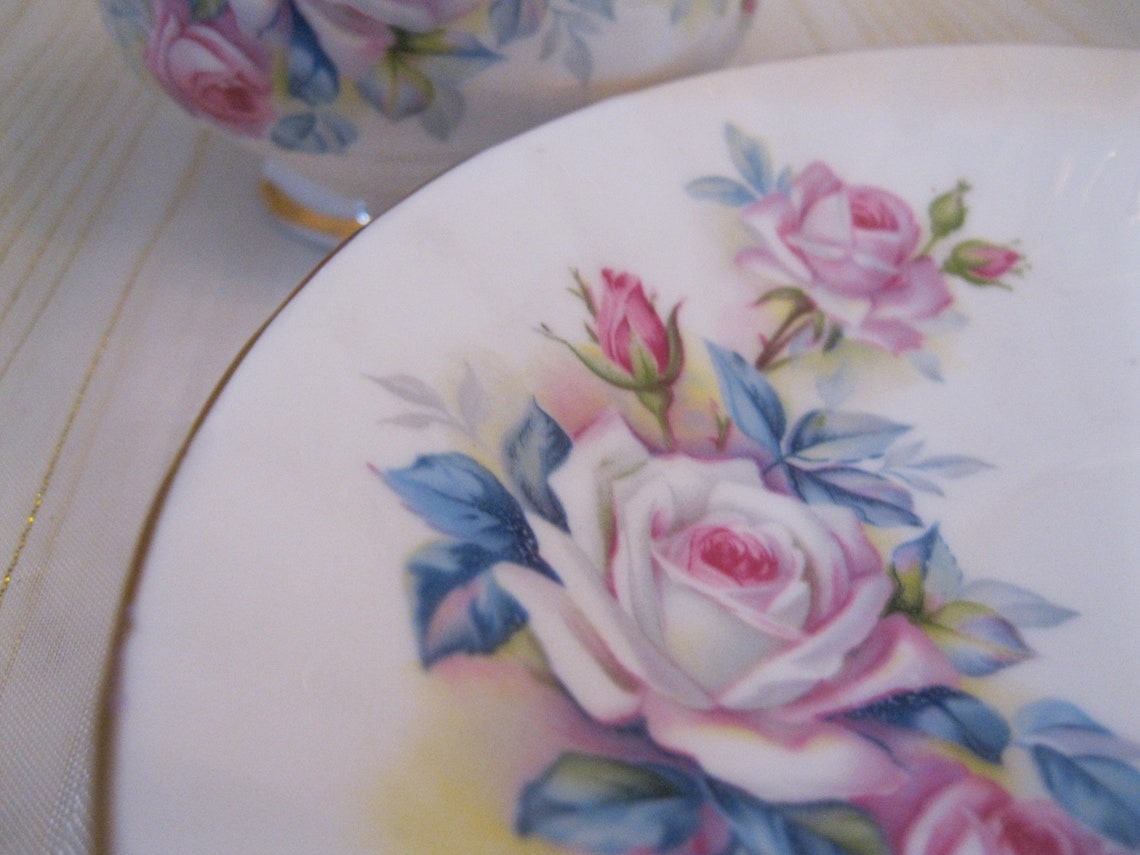 Delphine Bone China Roses Cup and Saucer England | Etsy