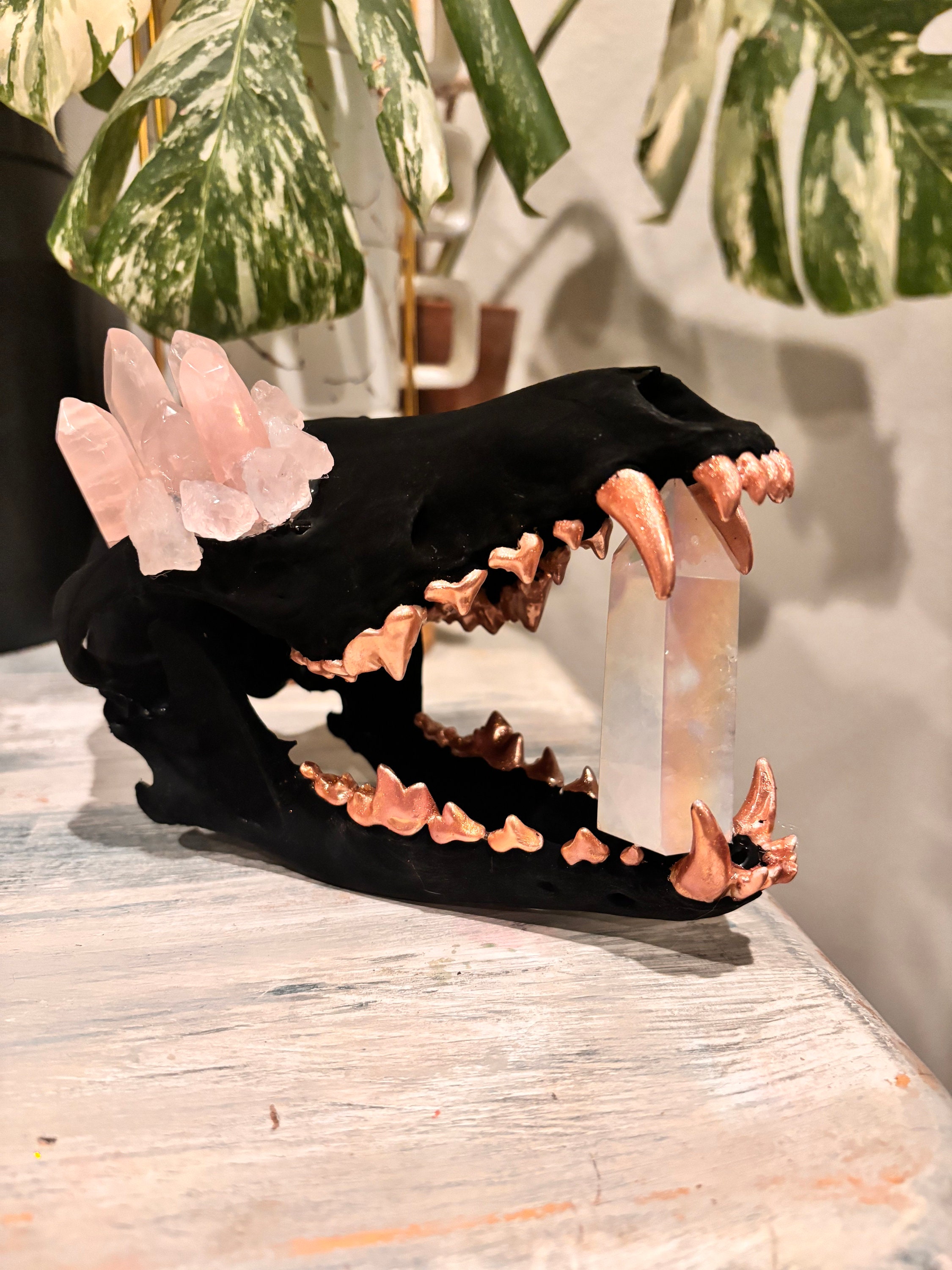 Crystallized Animal Skulls - Etsy