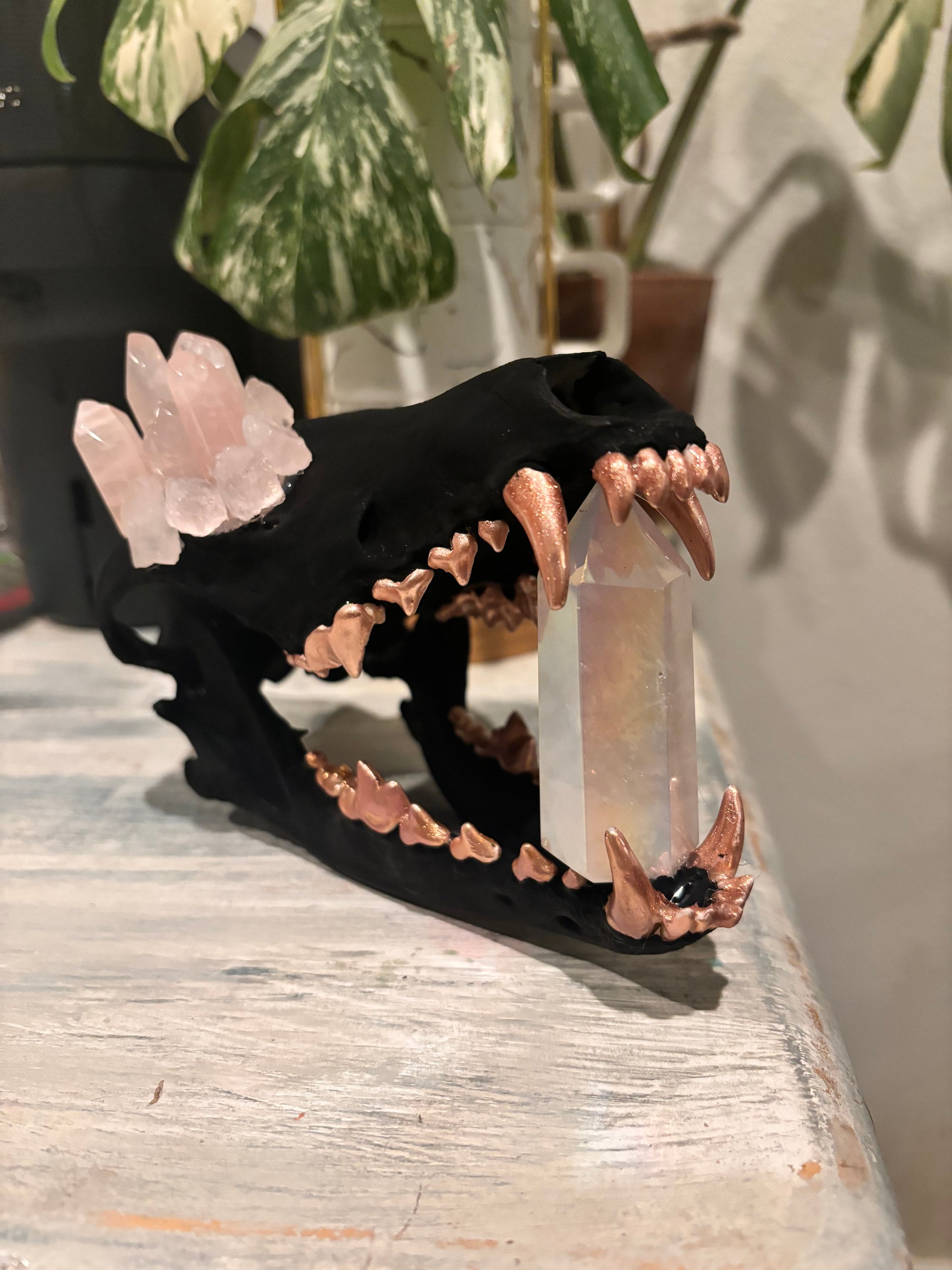 Crystallized Animal Skulls - Etsy