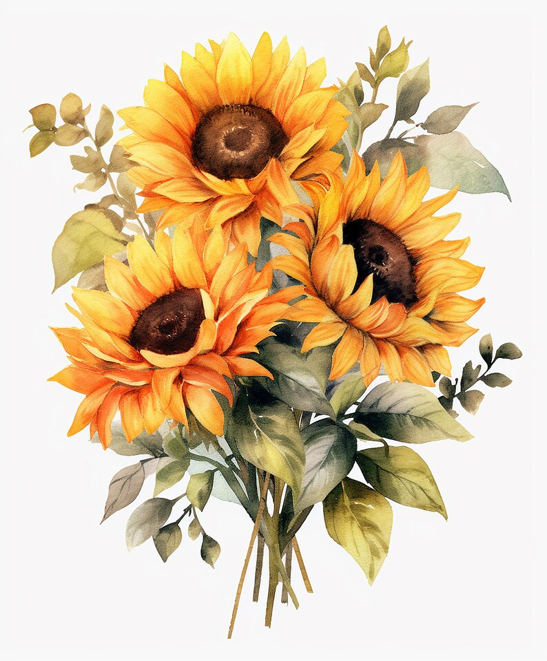 13 Watercolor Sunflower Clip Art Sunflower Overlay - Etsy
