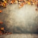 5 Fall Wall Backdrop, Fall Photo Backdrop, Autumn Wall Backdrop, Fall ...