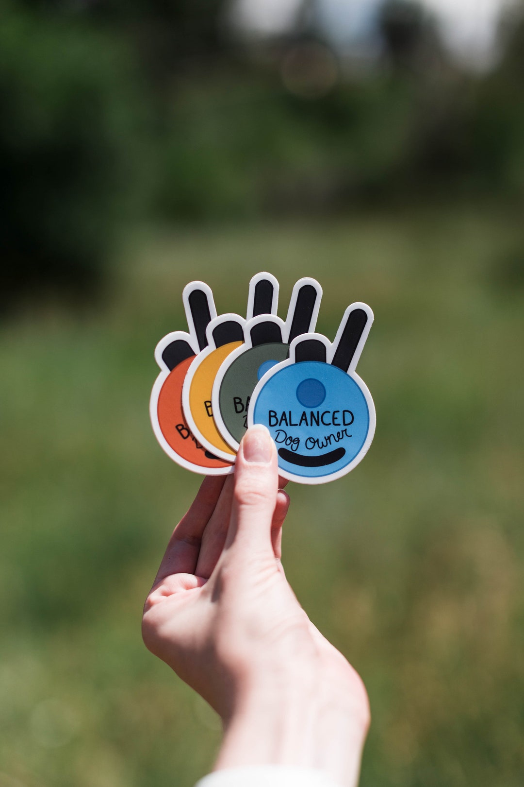 Rainbow Ecollar Remote Stickers | Balanced Dog Owner | Balanced ...