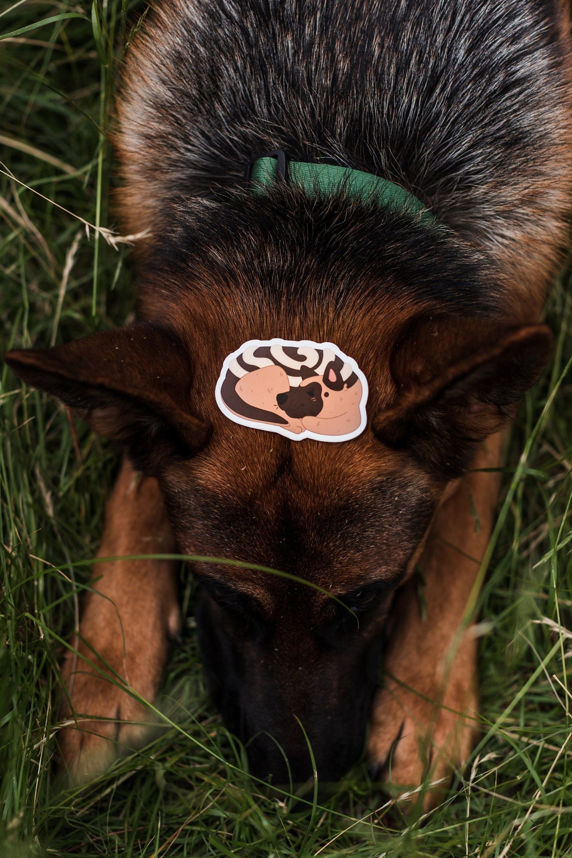 Cinna Pup Cinnamon Roll Cinnamon Bun Cinnamon Roll - Etsy