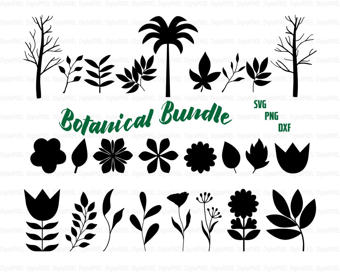 Botanical SVG Svg Cut File Digital Download Garden Svg - Etsy