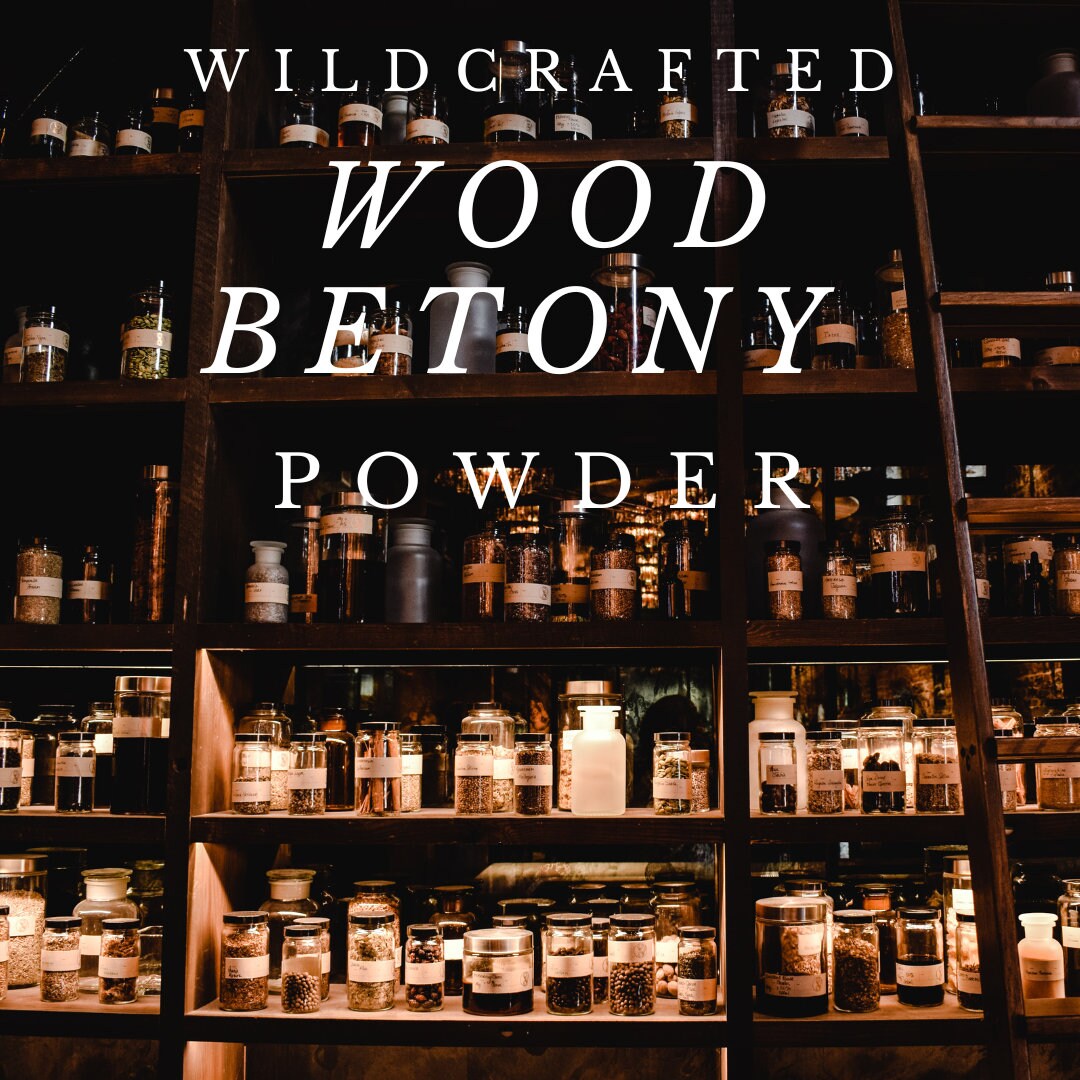 Wood Betony Powder 1 Oz - Wildcrafted - Etsy