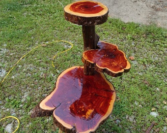 Live Edge Cake Stand - Etsy