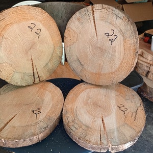 12.75 Set of 4 Spalted White Pine Tree Slice Wood Cookies Rounds End ...