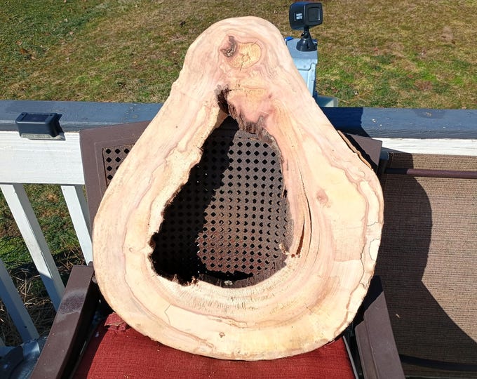 1.3/8"by 25.5" Spalted Sycamore Tree Slice Hole Mirror Project Wood ...
