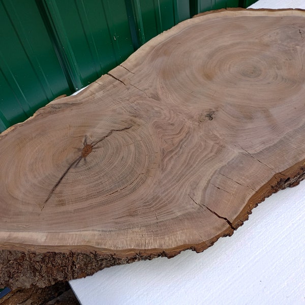 Tree Slab - Etsy