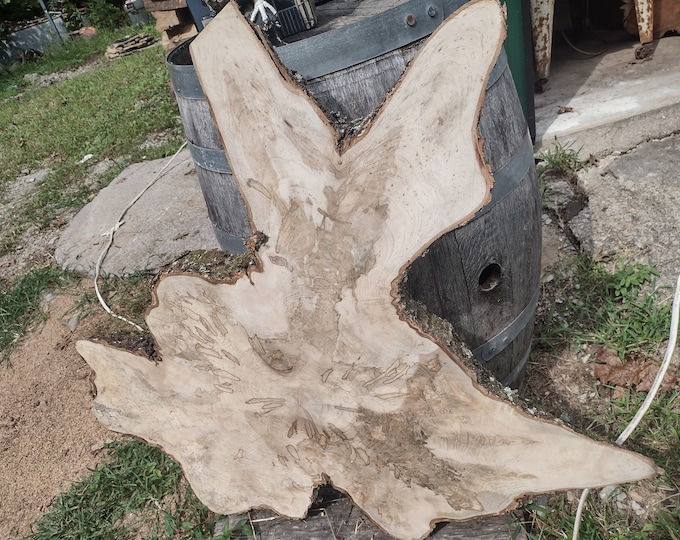 1.3/8"by 25.5" Spalted Sycamore Tree Slice Hole Mirror Project Wood ...