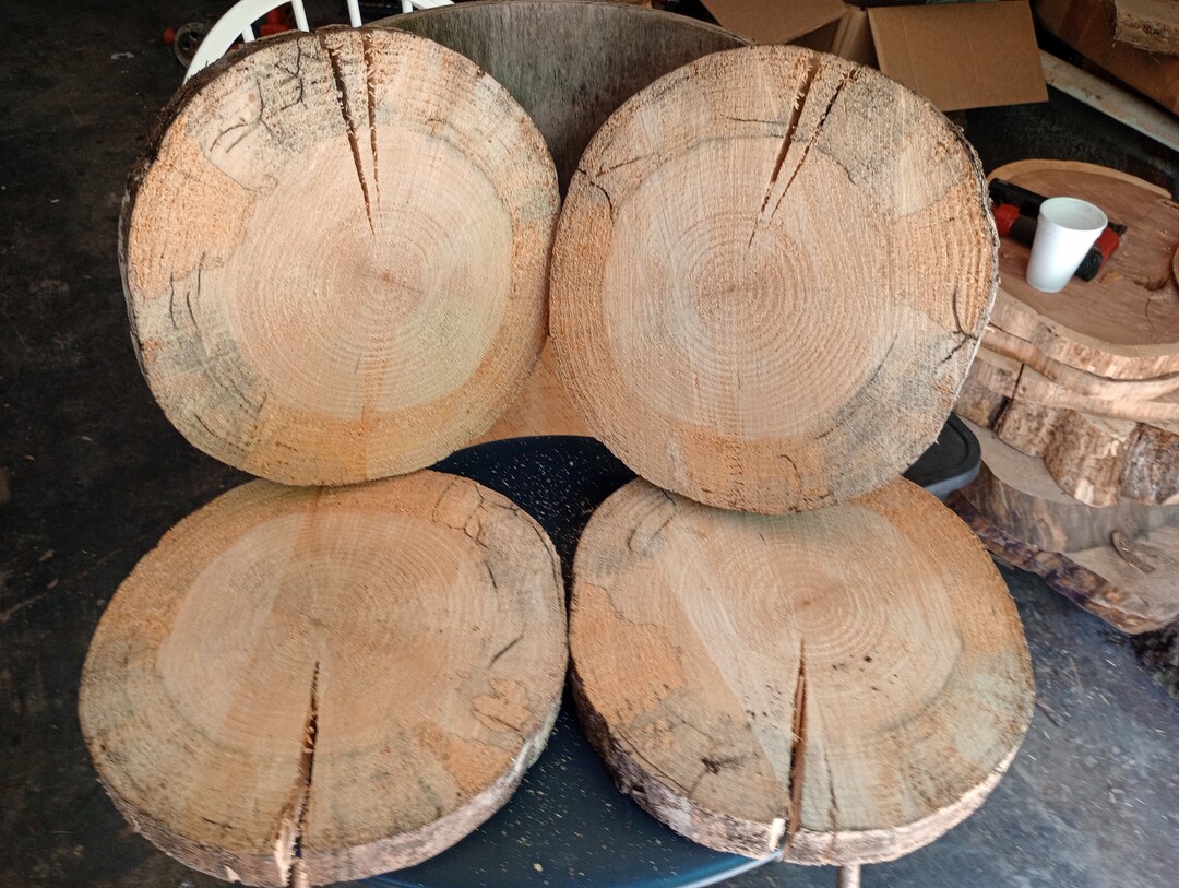 12.75 Set of 4 Spalted White Pine Tree Slice Wood Cookies Rounds End ...