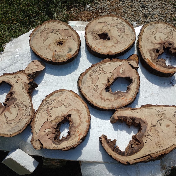 Irregular Wood Slice - Etsy