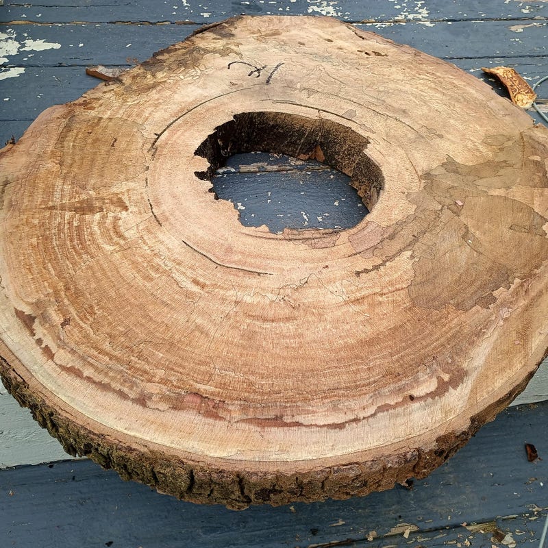 Large Wood Slices - Etsy