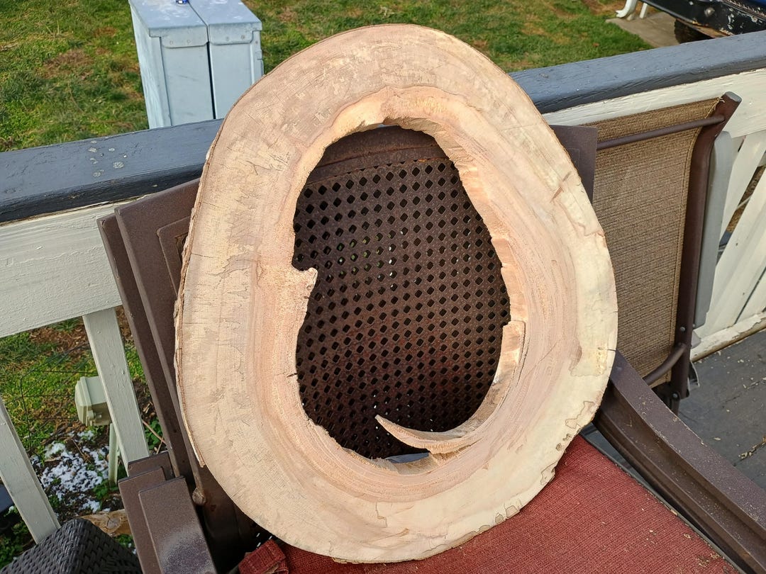 1.3/8by 22 Spalted Sycamore Tree Slice Hole Mirror Project Wood ...