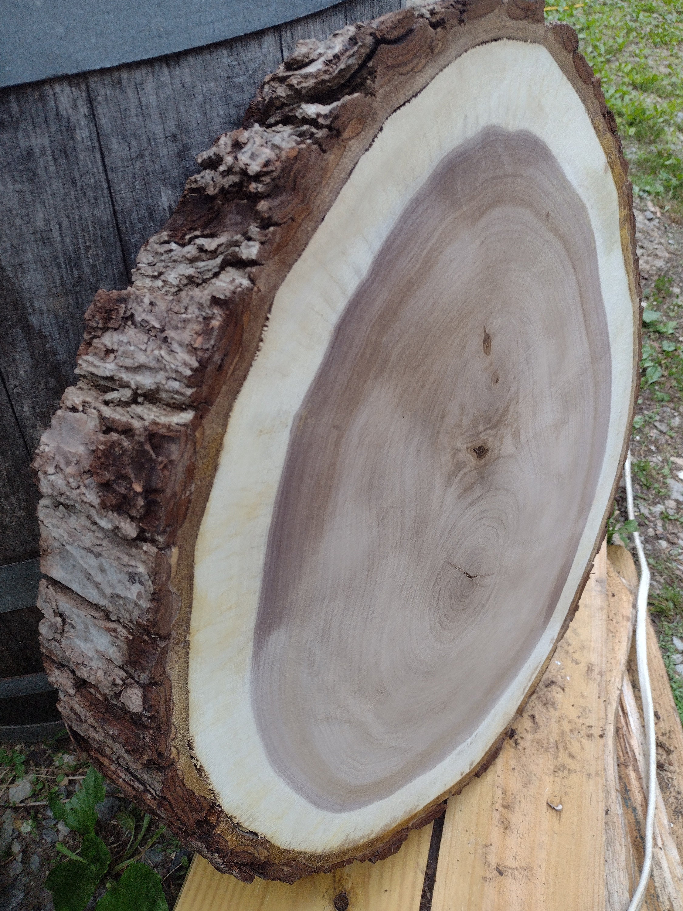 23.58 Black Walnut Flattened Tree Slice Sanded Live Edge | Etsy